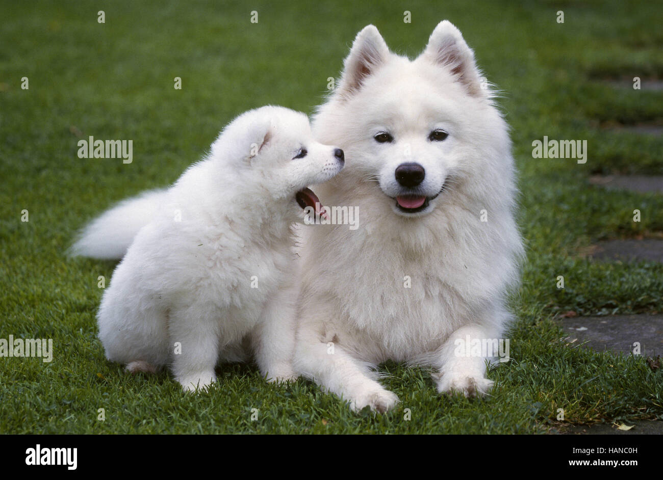 Junge comic hi-res stock photography and images - Alamy