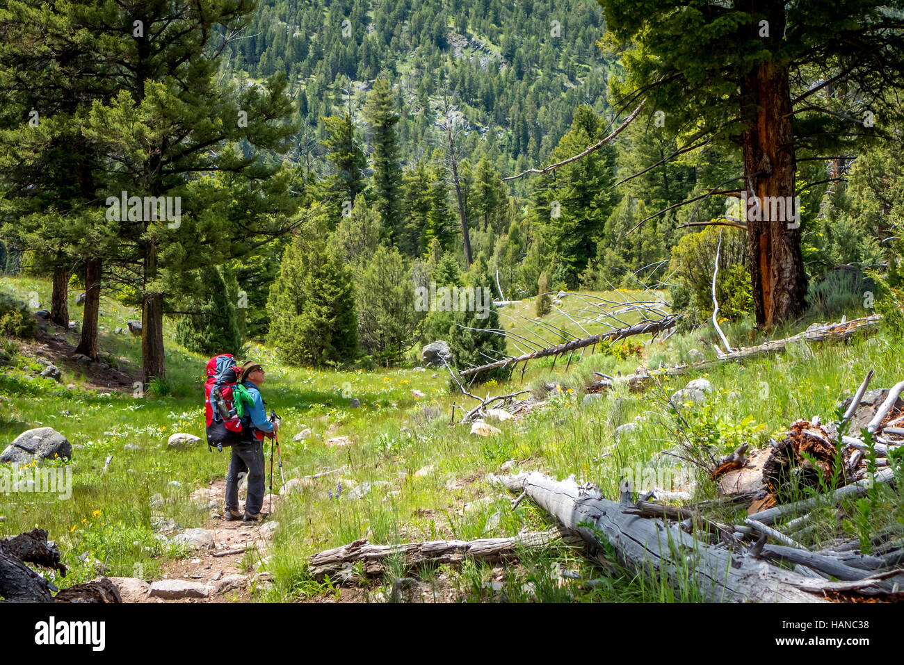 Hikers making their way through the wilderness on the Hellroaring Creek ...