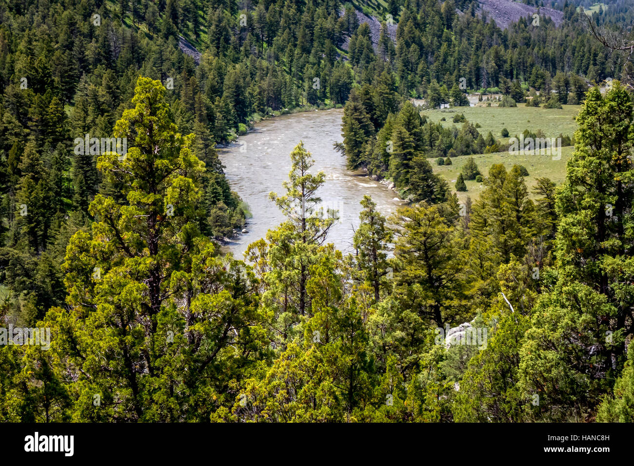 Wilderness on the Hellroaring Creek Nature Trail in Yellowstone ...