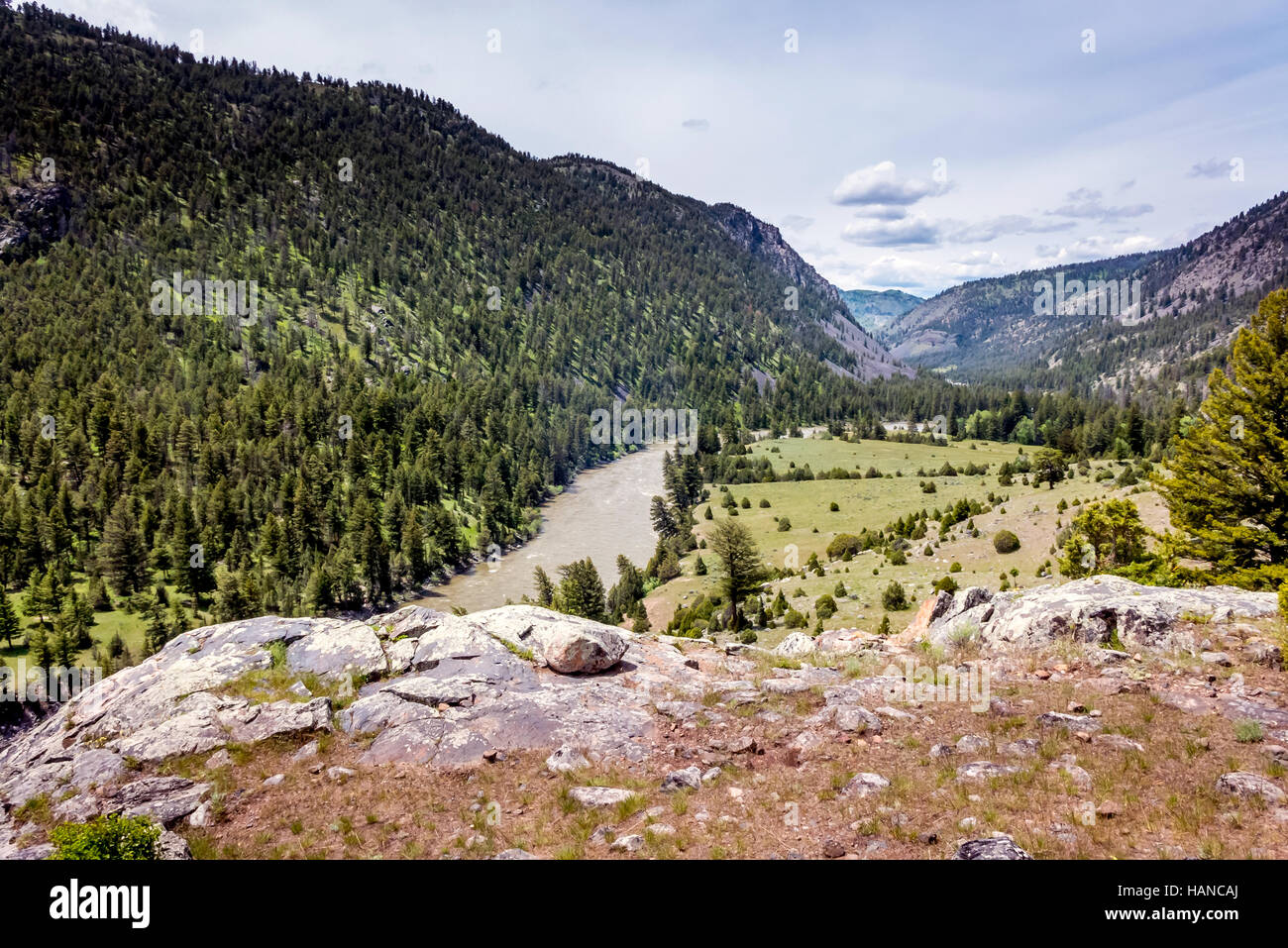 Wilderness on the Hellroaring Creek Nature Trail in Yellowstone ...