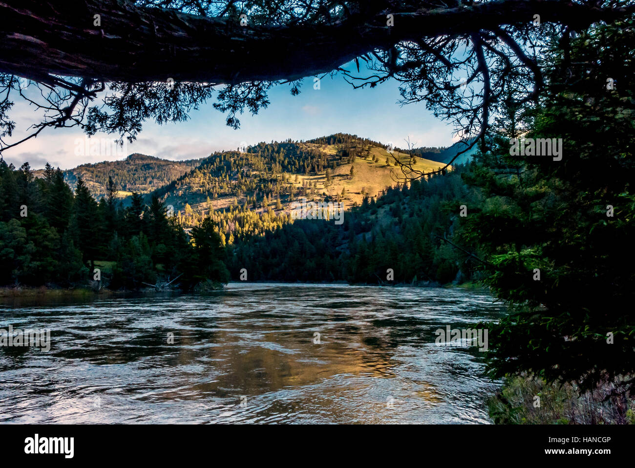 Wilderness on the Hellroaring Creek Nature Trail in Yellowstone ...