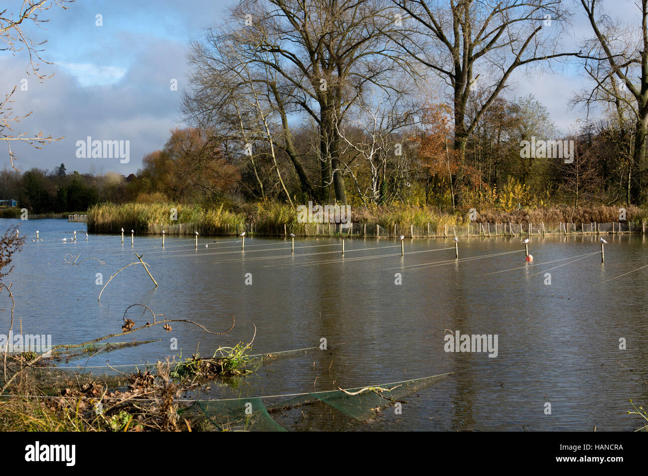 The lake in autumn, Wicksteed Park, Kettering, Northamptonshire ...