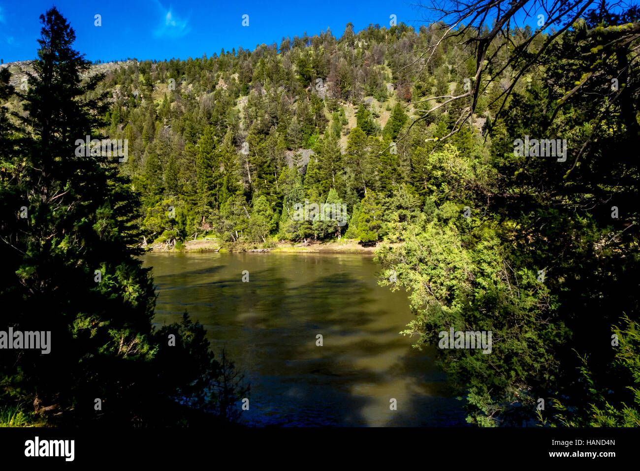 Wilderness on the Hellroaring Creek Nature Trail in Yellowstone ...