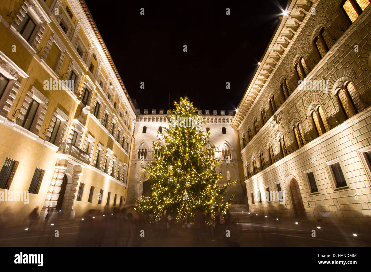 Lira tree hi-res stock photography and images - Alamy