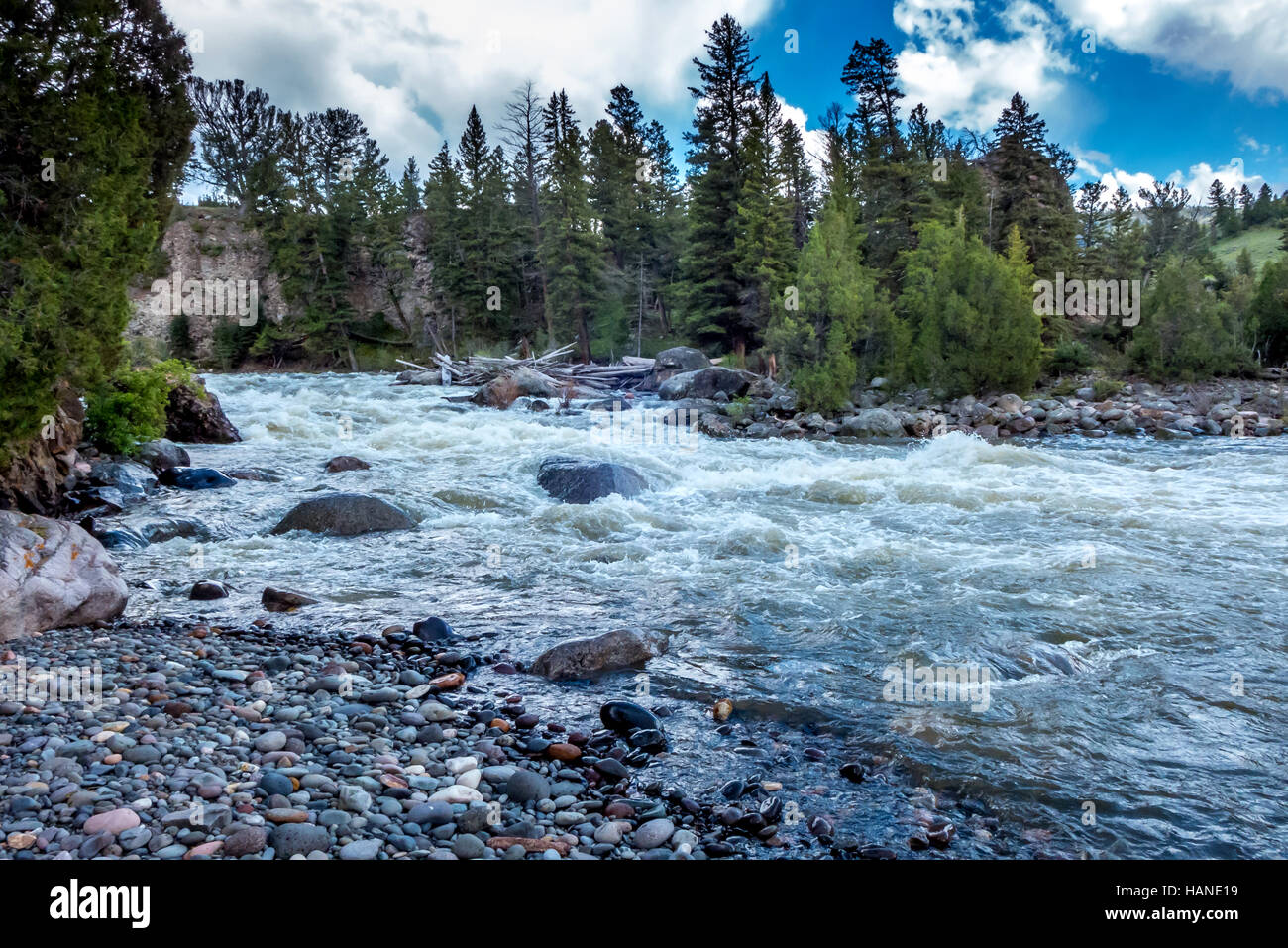 Wilderness on the Hellroaring Creek Nature Trail in Yellowstone ...