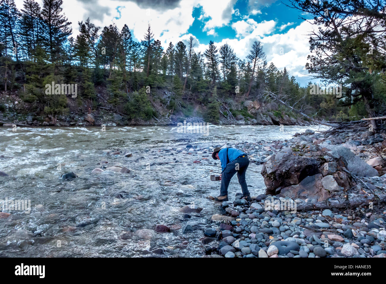 Wilderness on the Hellroaring Creek Nature Trail in Yellowstone ...