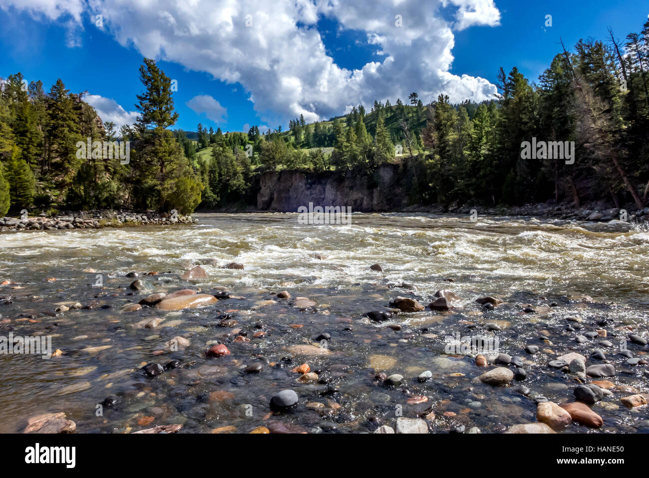 Wilderness on the Hellroaring Creek Nature Trail in Yellowstone ...