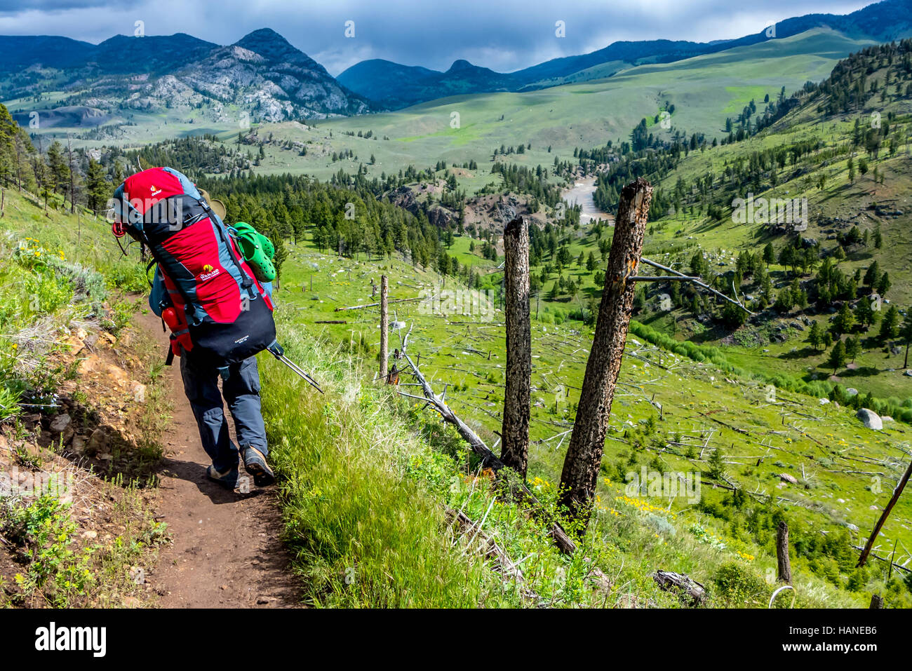 Hikers making their way through the wilderness on the Hellroaring Creek ...