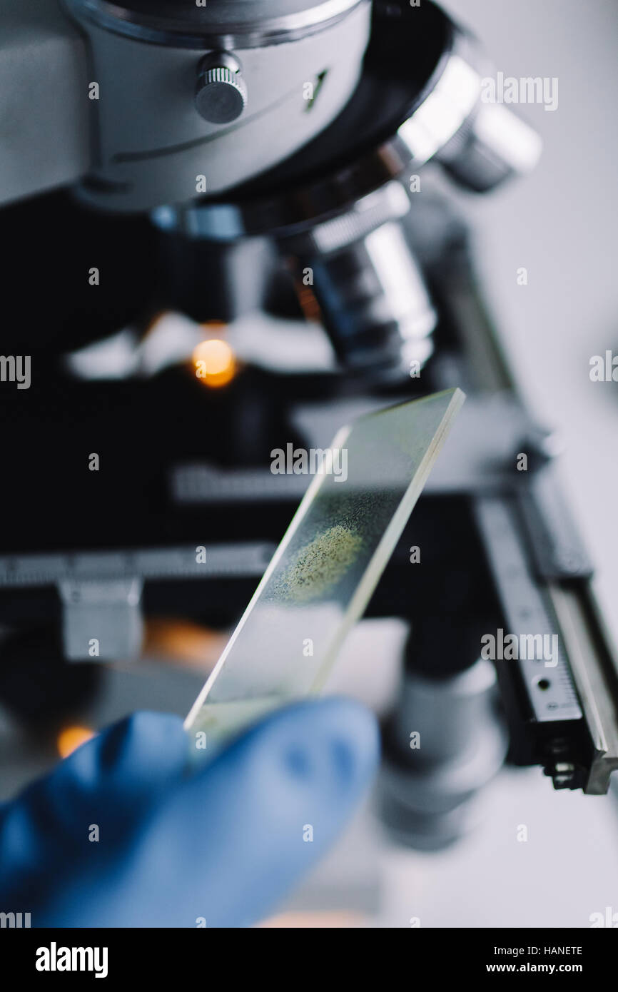 Glass microscope hi-res stock photography and images - Alamy