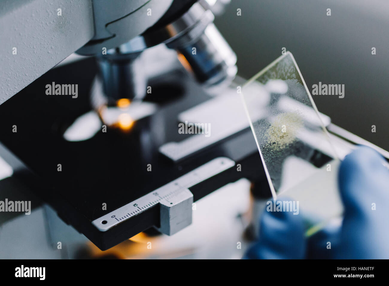 Glass microscope hi-res stock photography and images - Alamy