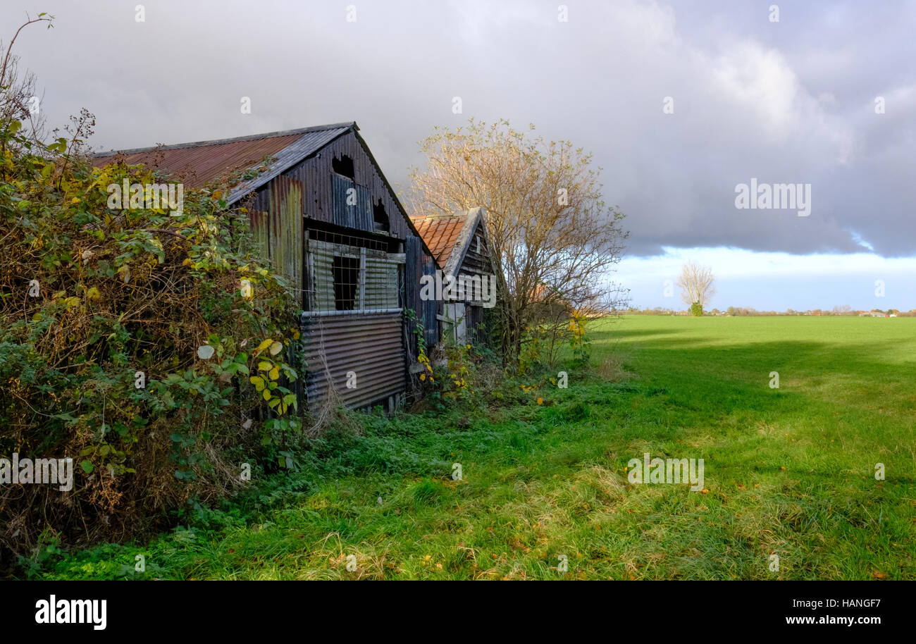 Metal clad farm building hi-res stock photography and images - Alamy
