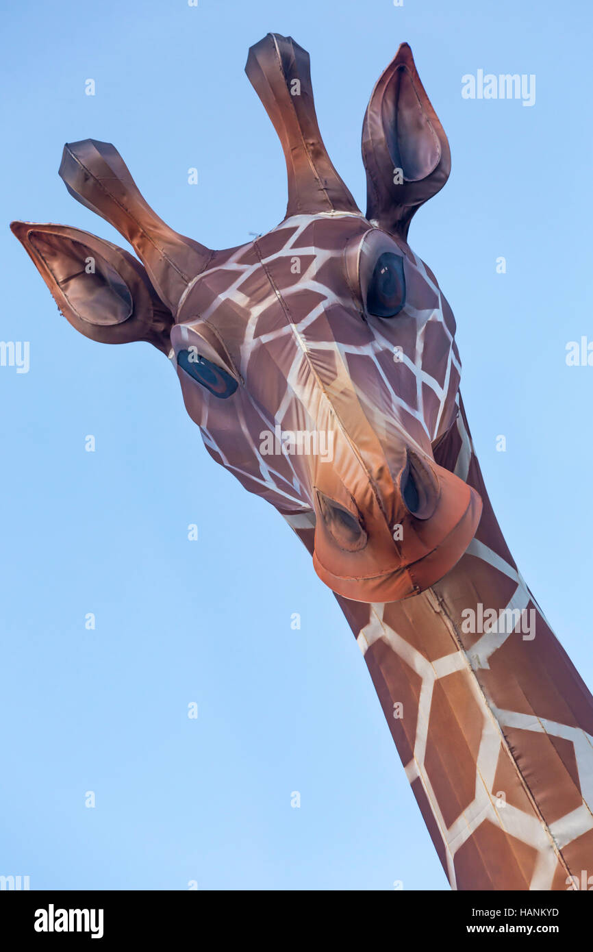 Inflatable giraffes hi-res stock photography and images - Alamy