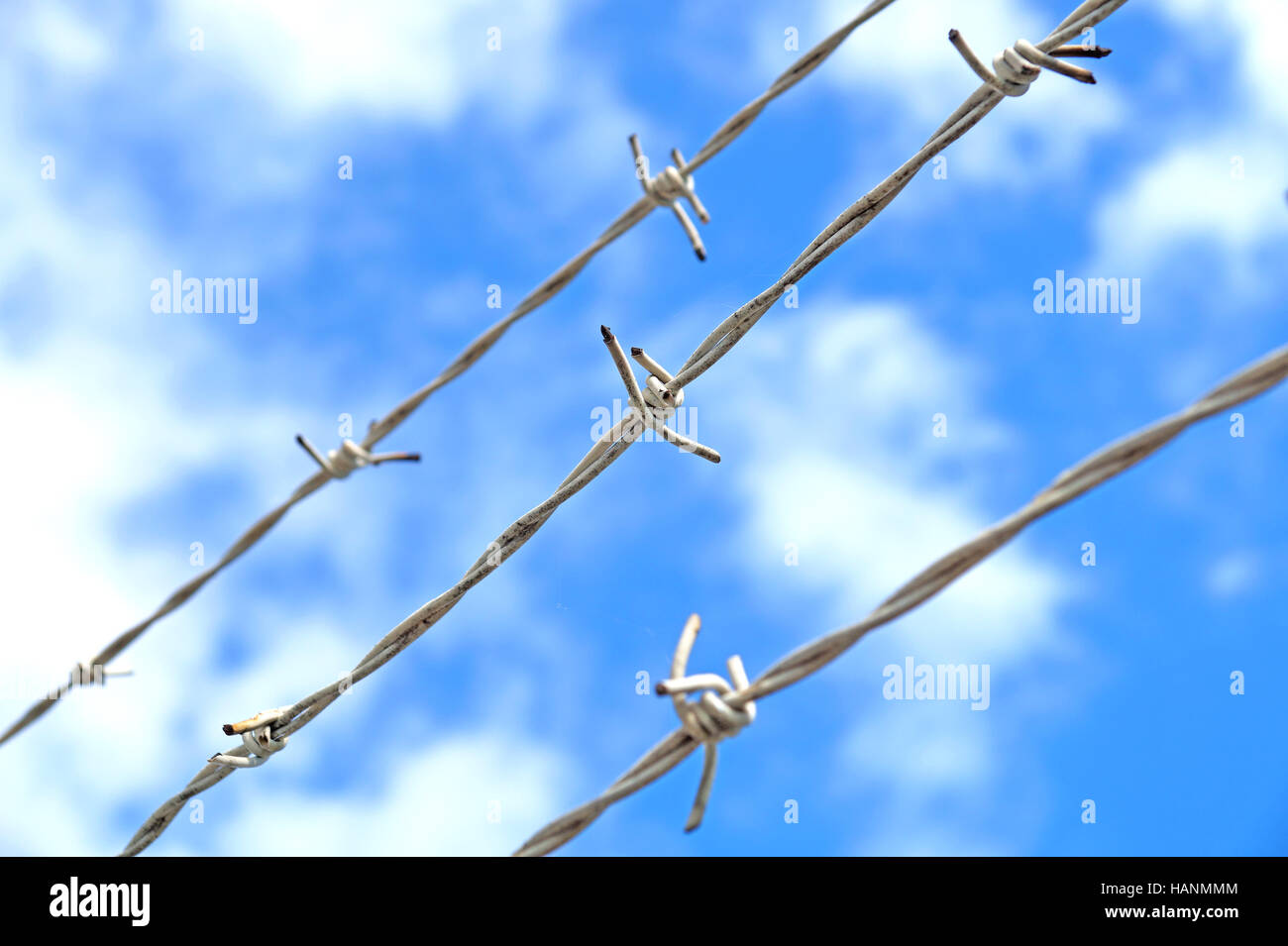 Steel anti entry fence with sharp spikes Stock Photo - Alamy