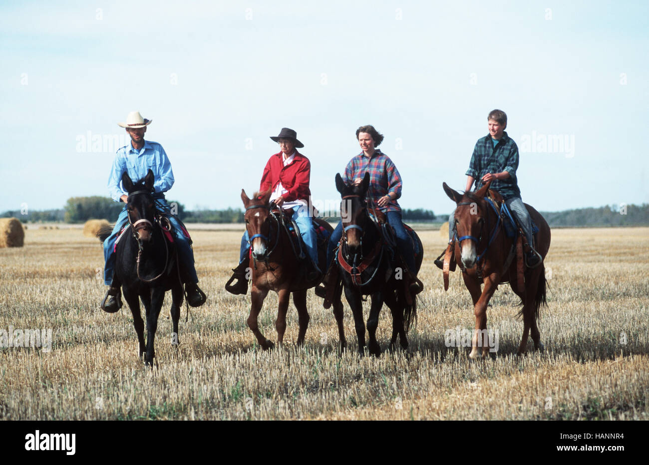 Cowboy riding horse pack horse hi-res stock photography and images - Alamy