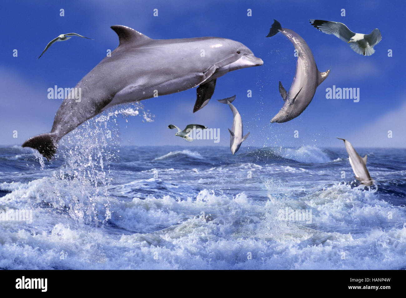 Tu gruppe hi-res stock photography and images - Alamy