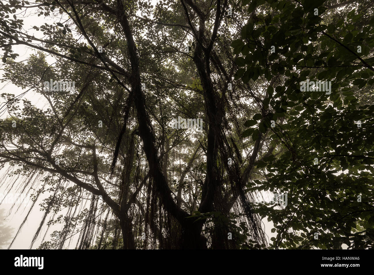 Jinguashi village hi-res stock photography and images - Alamy