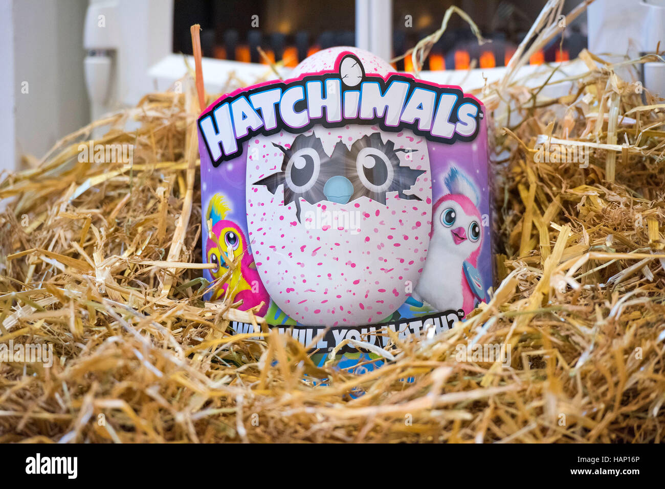 Hatchimals - The must have Christmas toy of 2016 Stock Photo - Alamy
