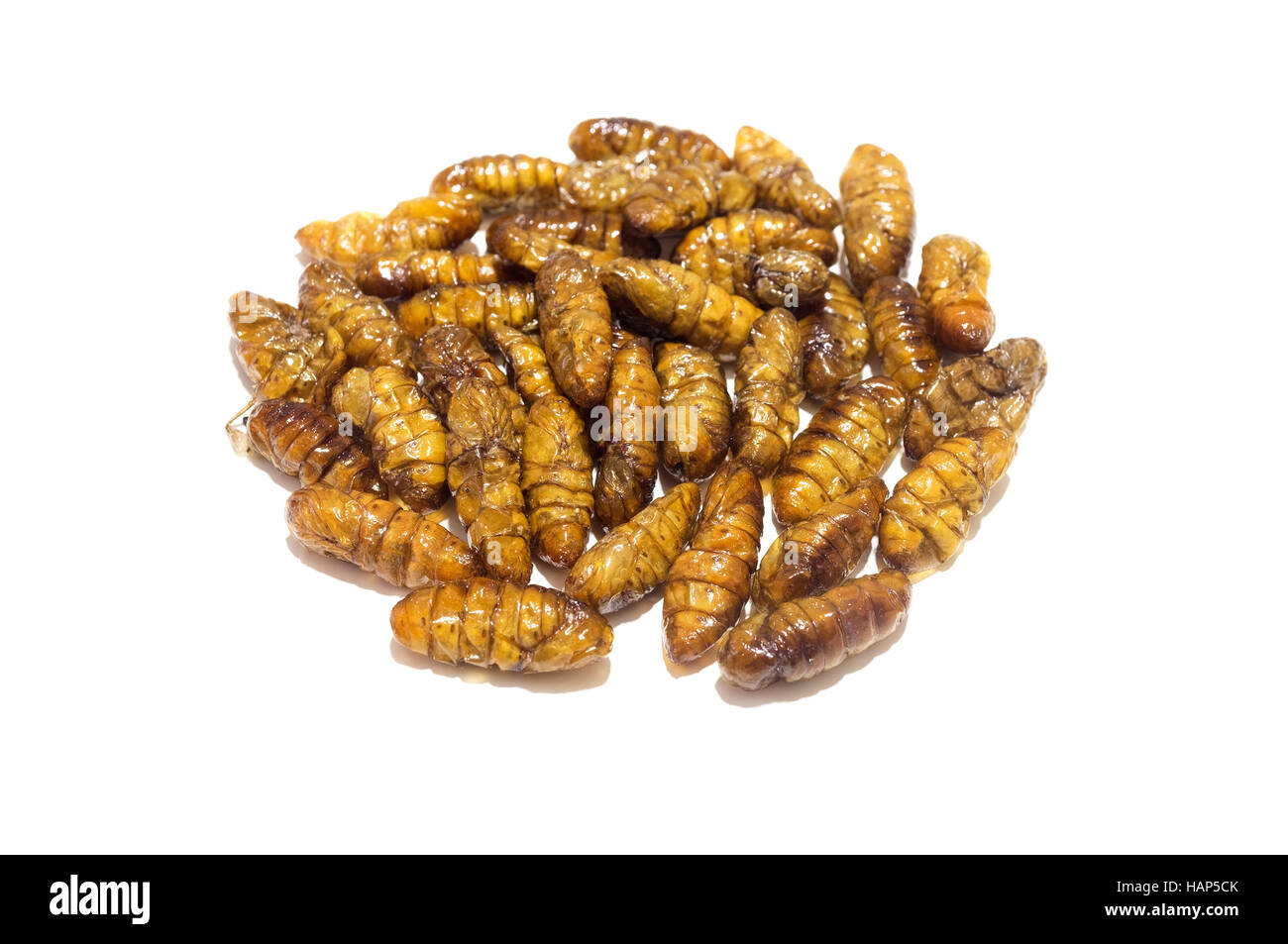 Silkworm pupae hi-res stock photography and images - Alamy