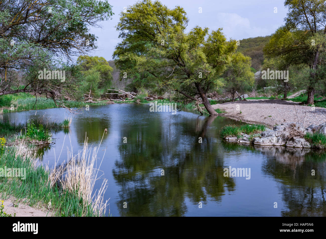 Beautiful Spring landscape of Mirror Tree river Stock Photo - Alamy