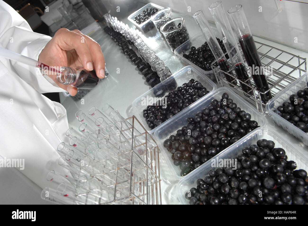 Wine quality control testing in modern laboratory hi-res stock ...