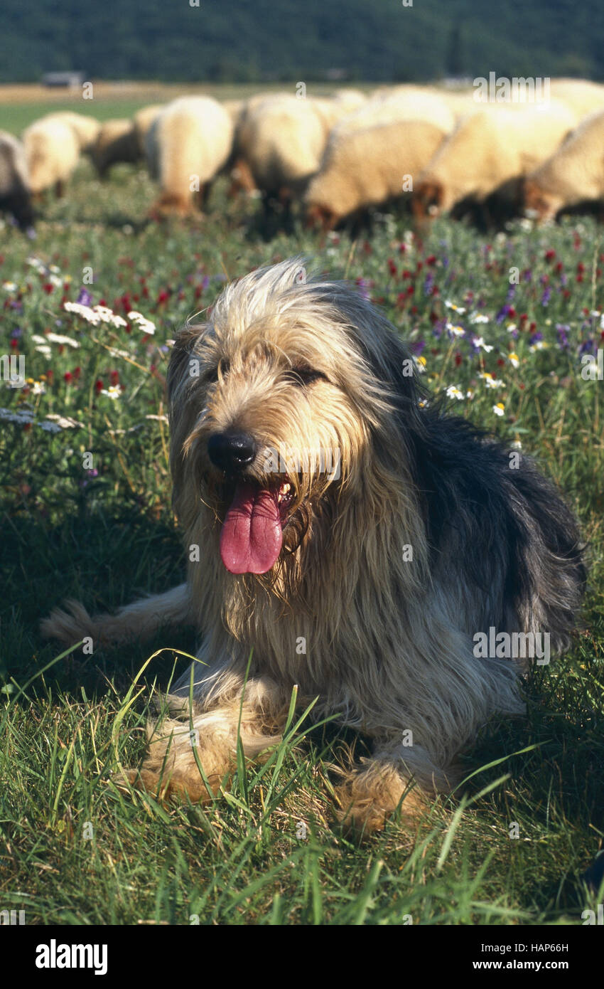Altdeutscher hi-res stock photography and images - Alamy