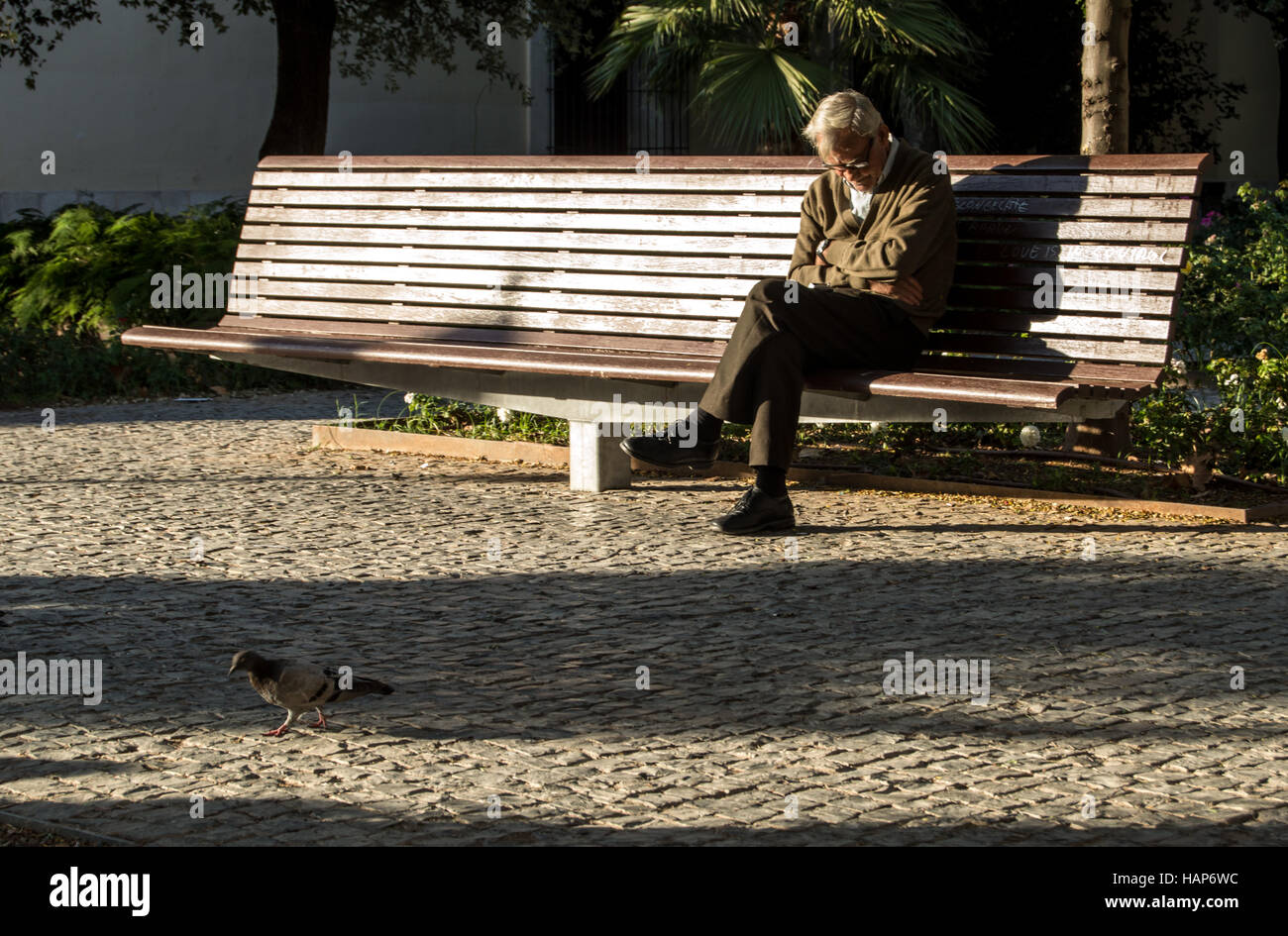 An old man resting alone, on a bench in the park Stock Photo - Alamy