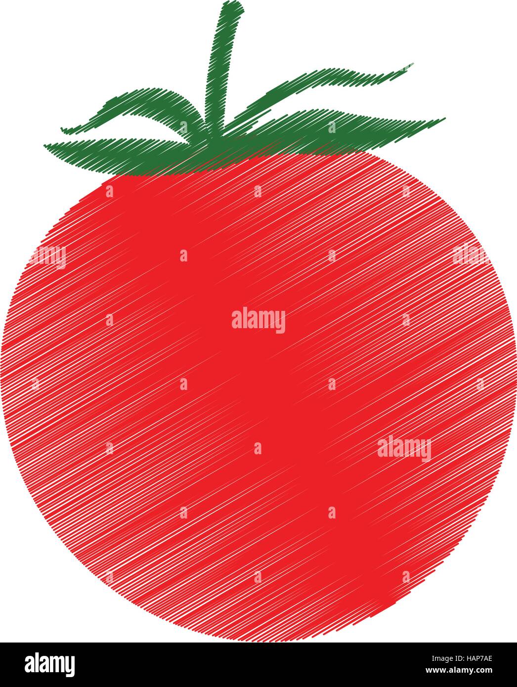 Isolated tomato design Stock Vector Image & Art - Alamy