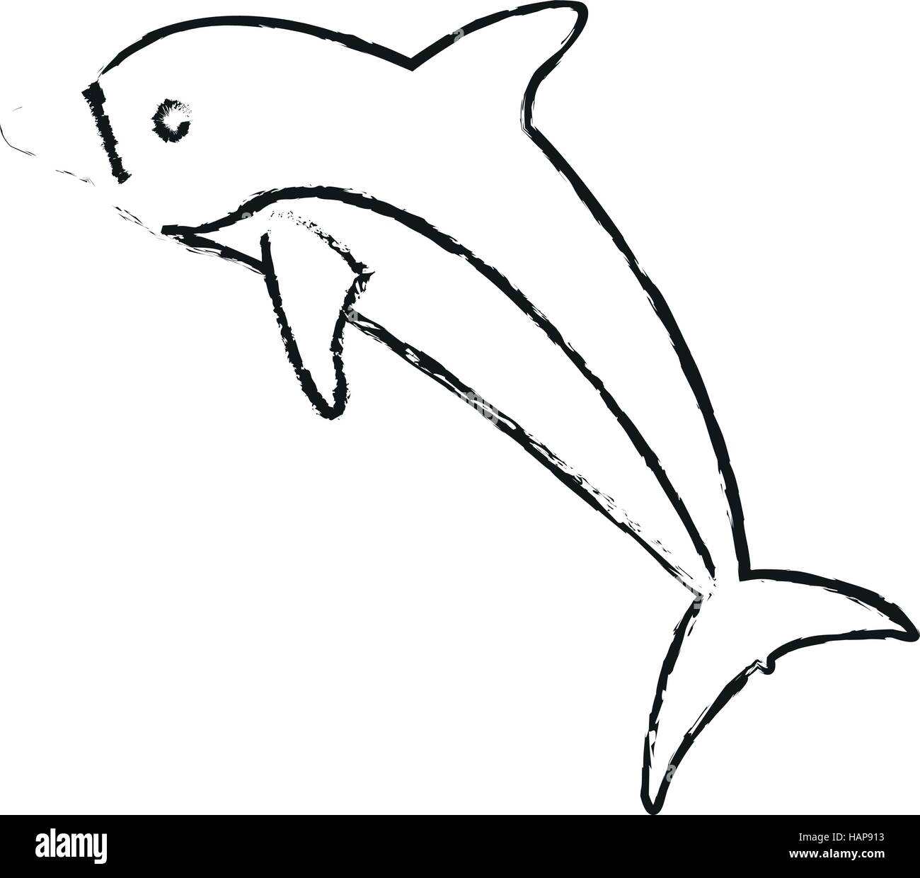 Under ocean dolphin Black and White Stock Photos & Images - Alamy