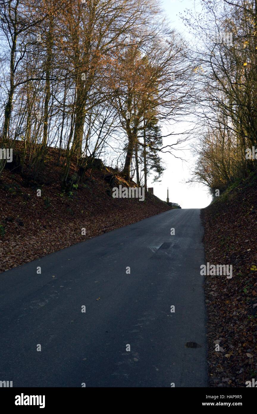 Tarmac coastal road between two rows of trees Stock Photo - Alamy