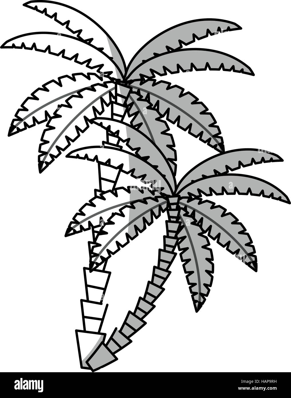 Isolated palm tree design Stock Vector Image & Art - Alamy
