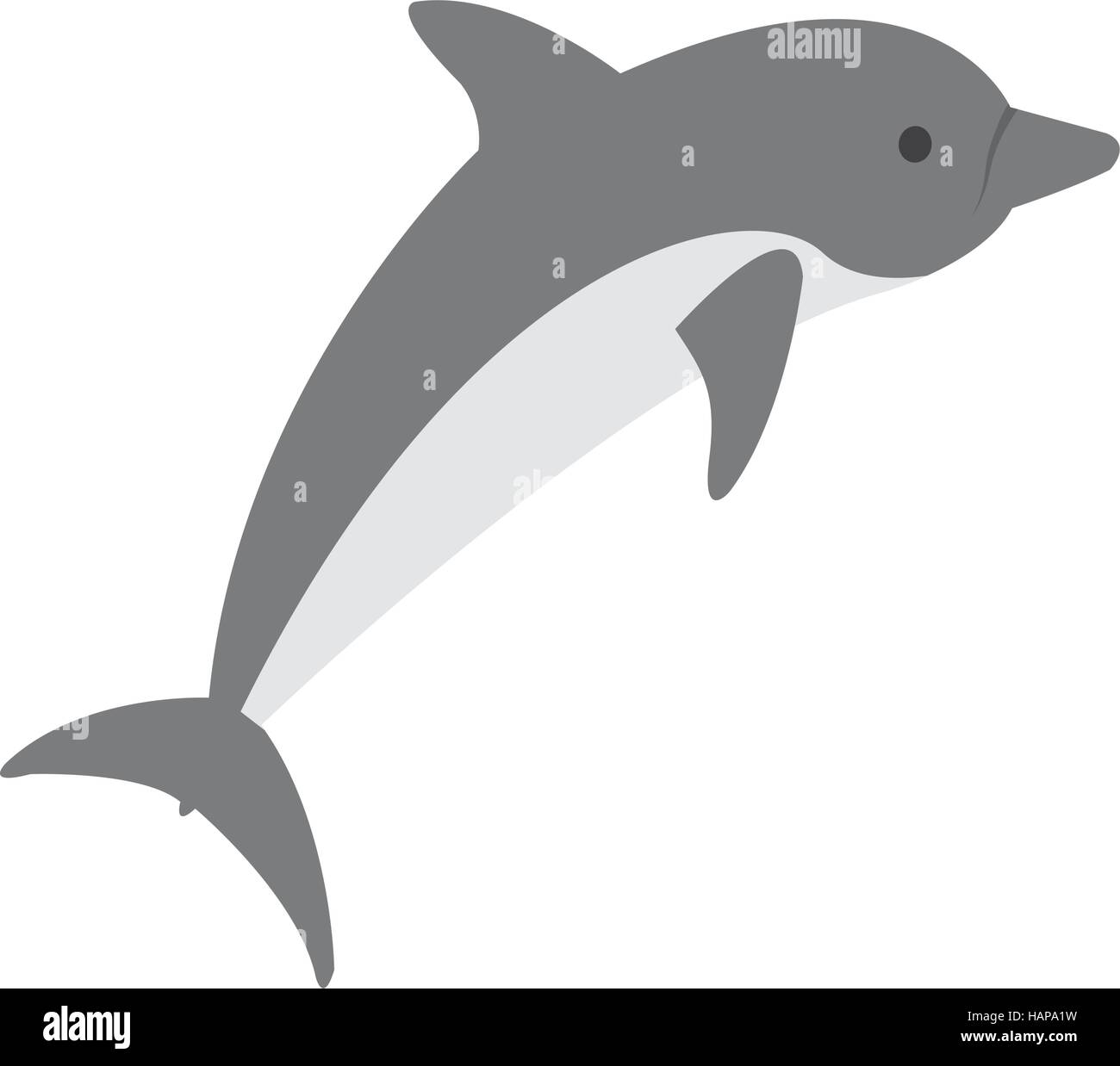 Dolphin swimming under sea Stock Vector Images - Alamy