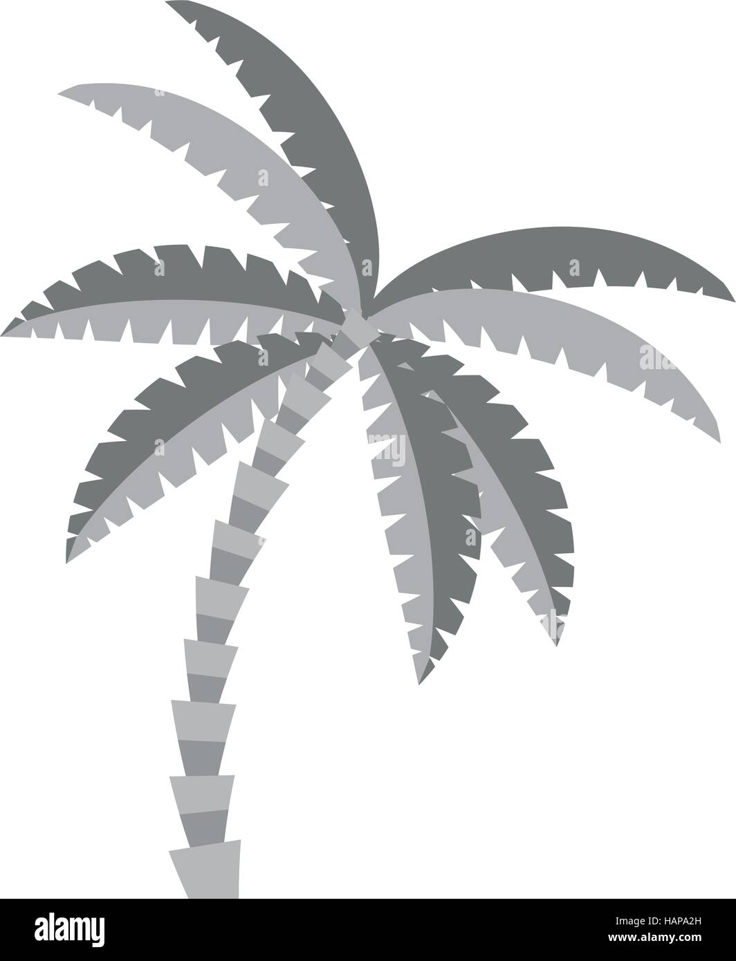 Isolated palm tree design Stock Vector Image & Art - Alamy