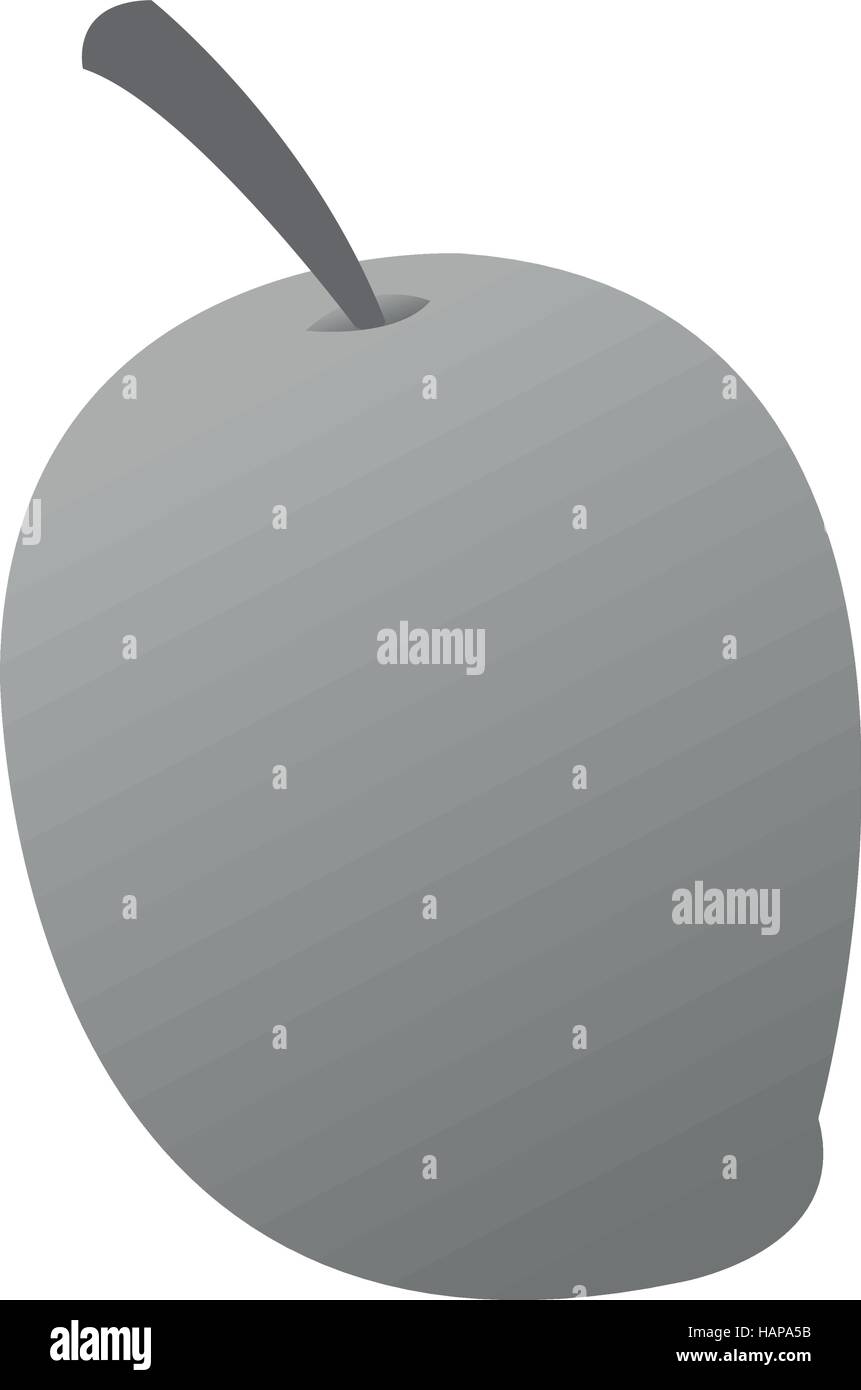 Isolated mango design Stock Vector Image & Art - Alamy