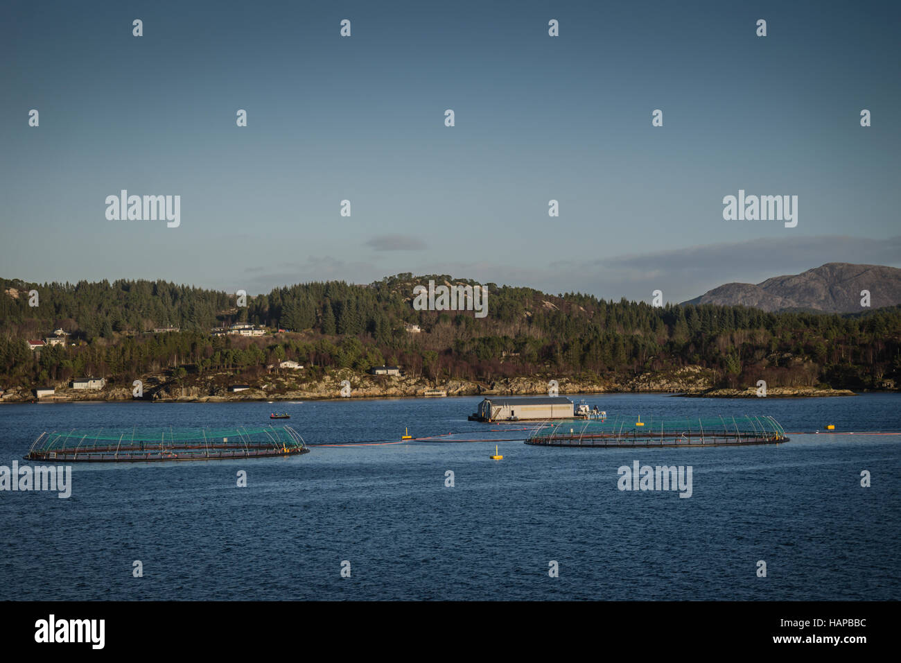 Norway fish farming hi-res stock photography and images - Alamy