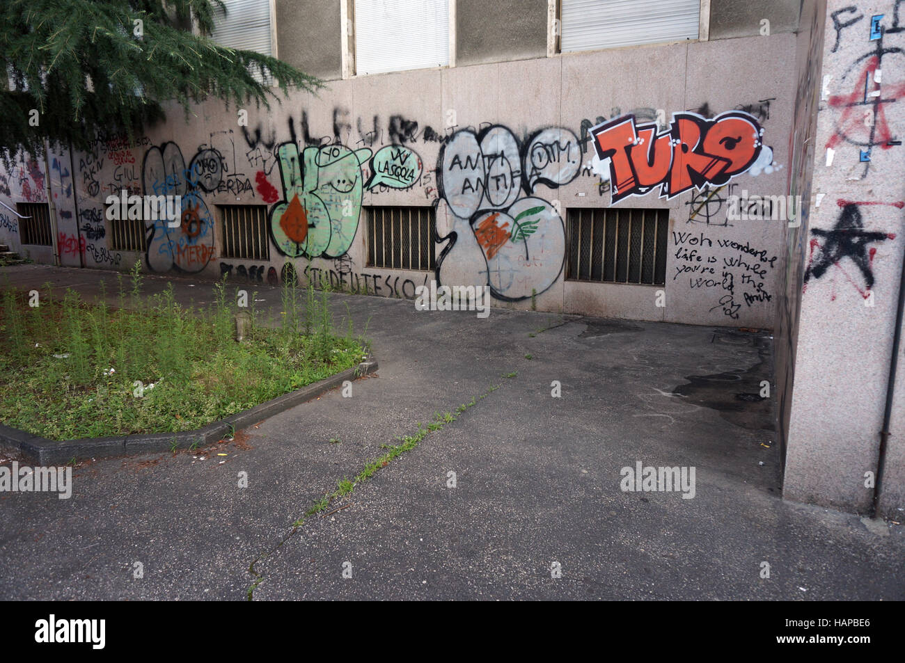 Graffiti and Wall Art in Turin, Italy Stock Photo - Alamy