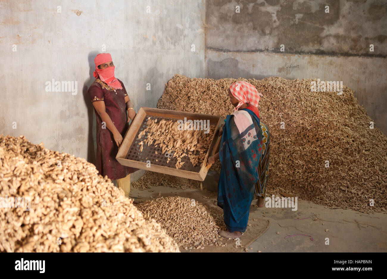 All Spices Market in Fort Kochi (Cochin) ,Kerala,India Stock Photo - Alamy