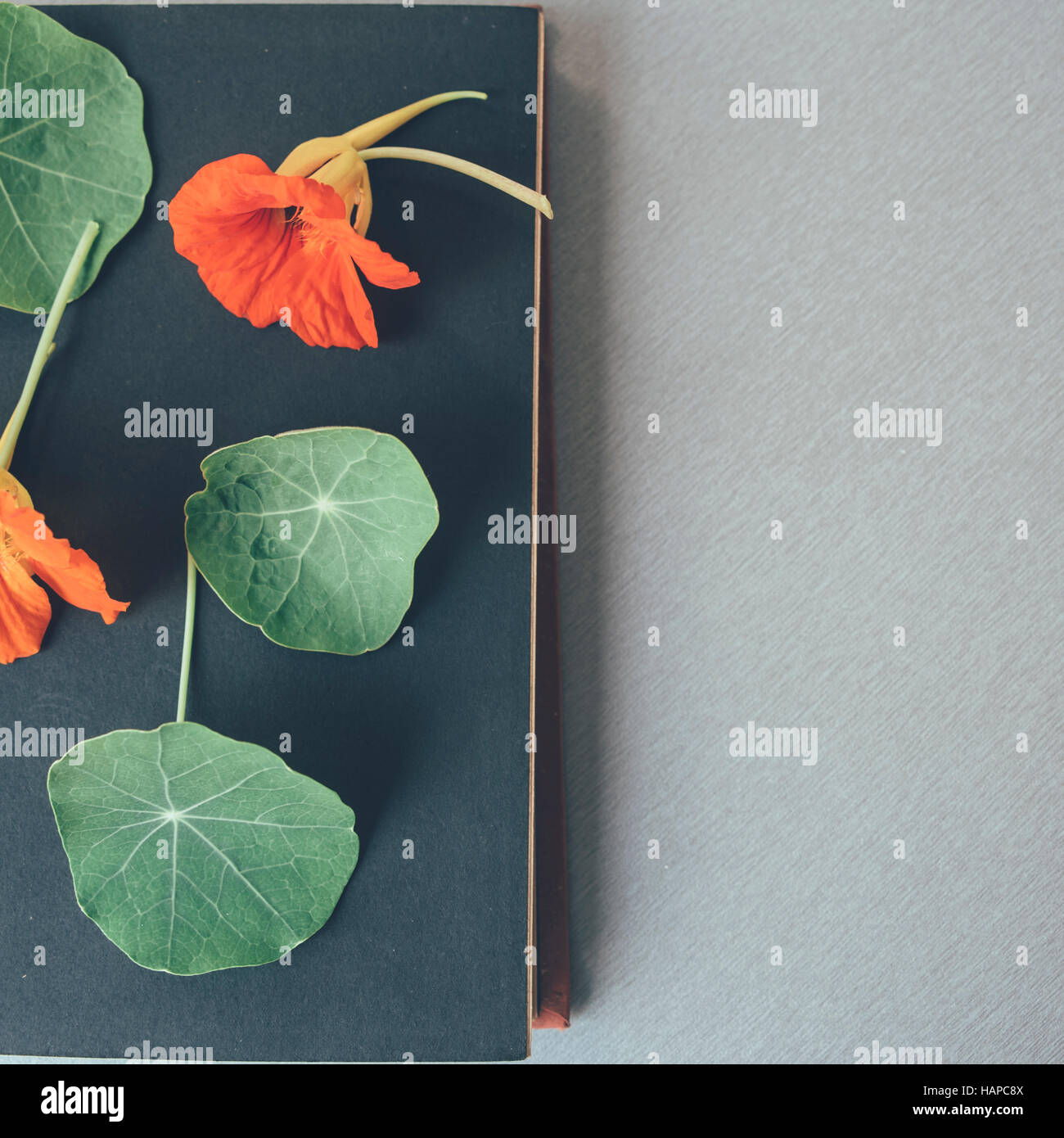 Flowers on the book Stock Photo - Alamy