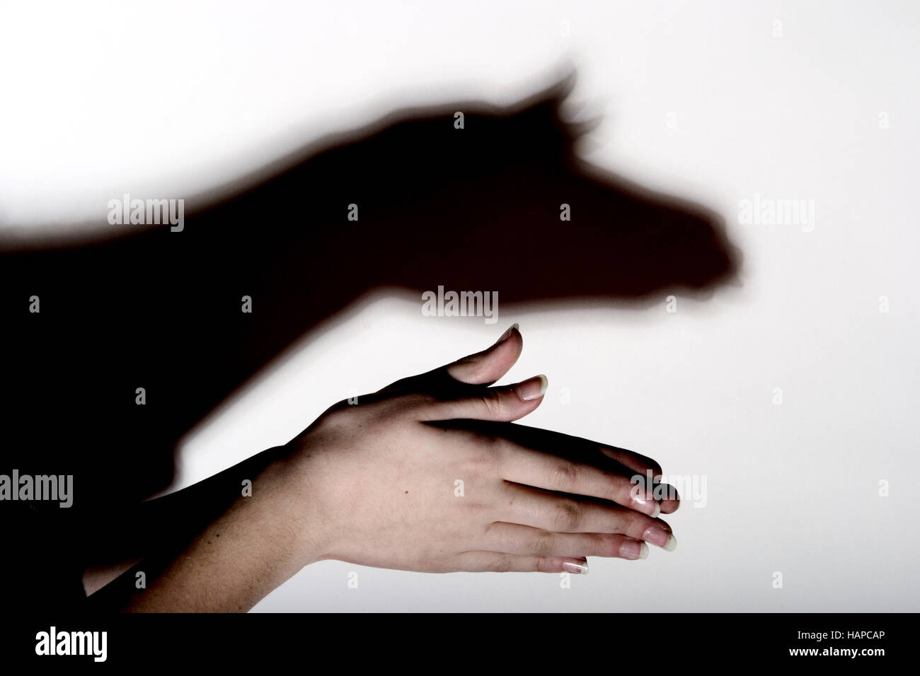 Schattenspiel hi-res stock photography and images - Alamy