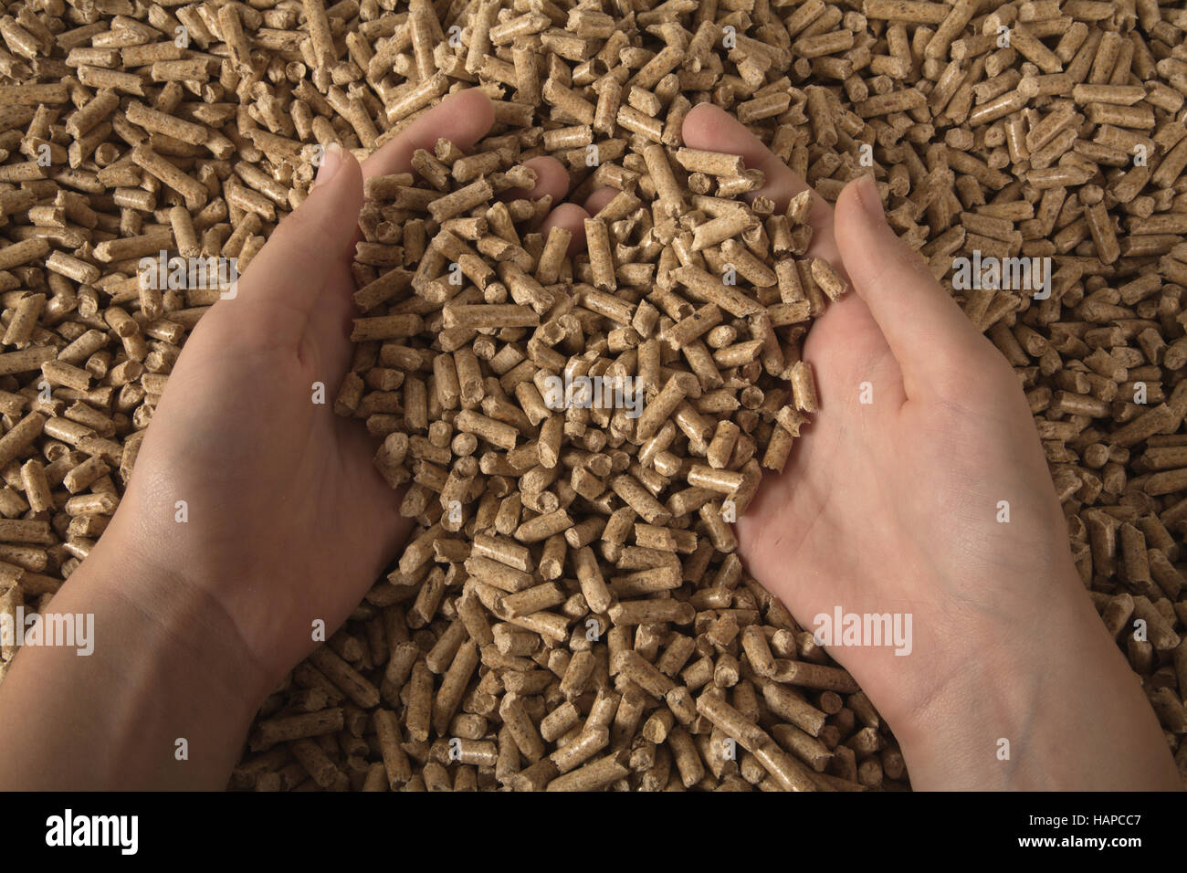 Holzpellets wood pellets hi-res stock photography and images - Alamy