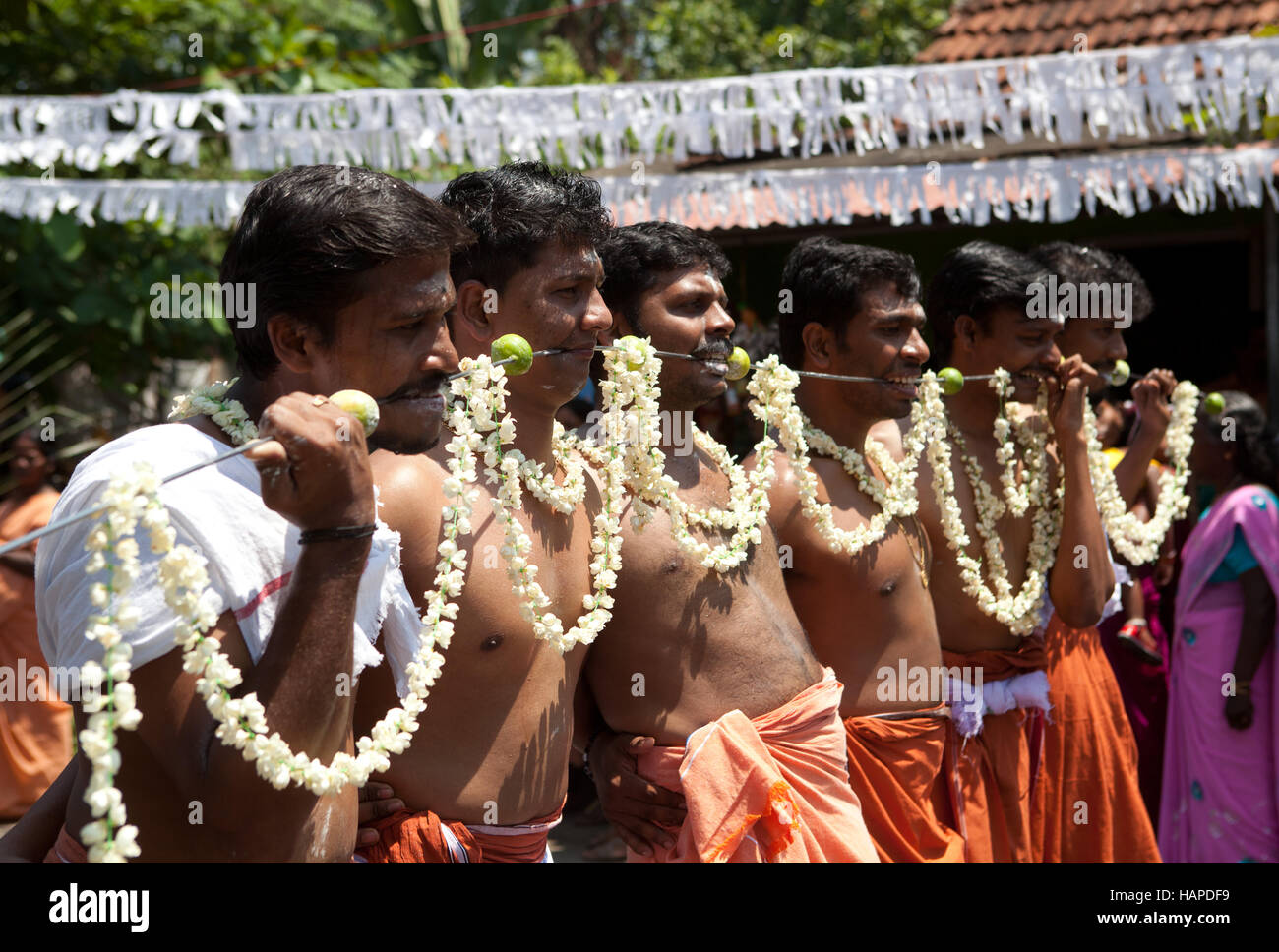 Thaipusam or Thai Poosam Kavady Festival near Kochi, Kerala,India Stock ...