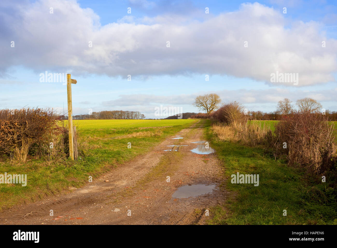 A muddy farm track with puddles and wooden signpost in the scenic ...