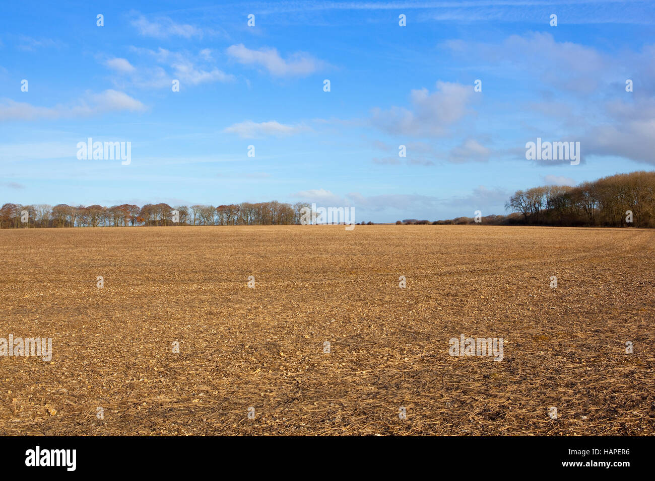 Patterns and texture of a cultivated stubble field on the Yorkshire ...