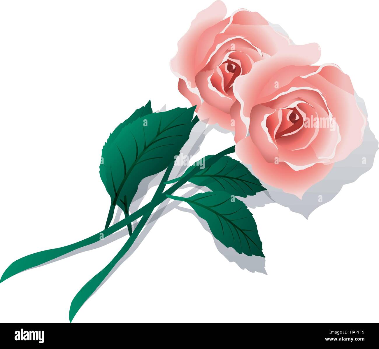Rose Images icon Stock Vector Image & Art - Alamy