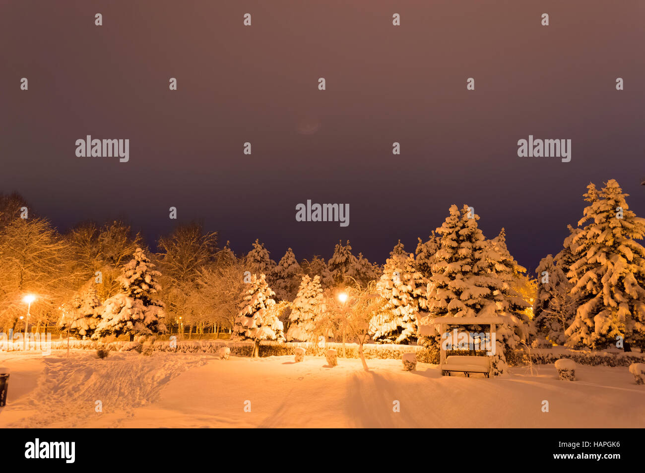 The park in the evening hi-res stock photography and images - Alamy