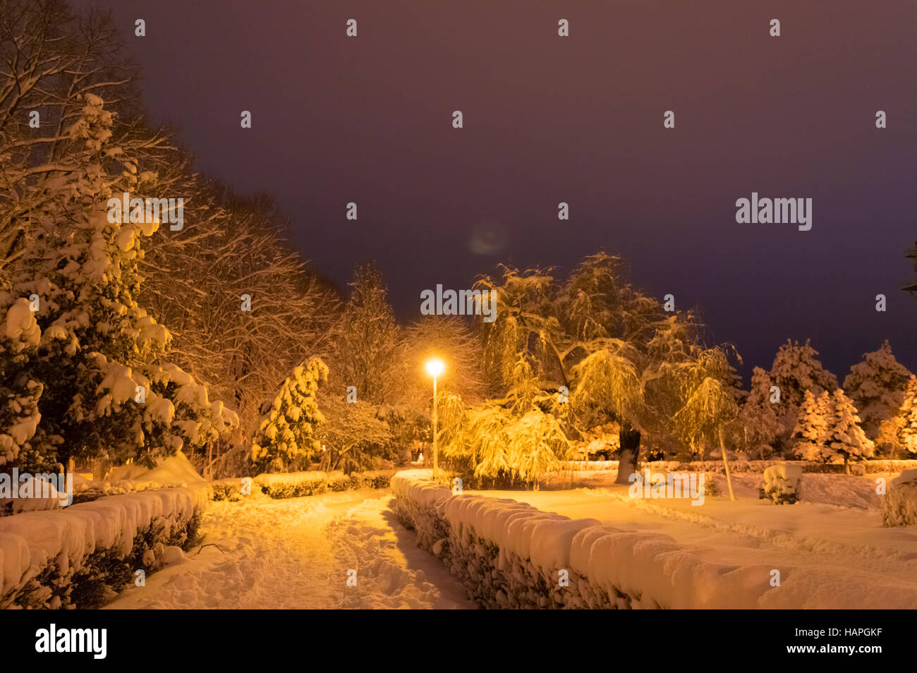 Park covered in snow at night hi-res stock photography and images - Alamy