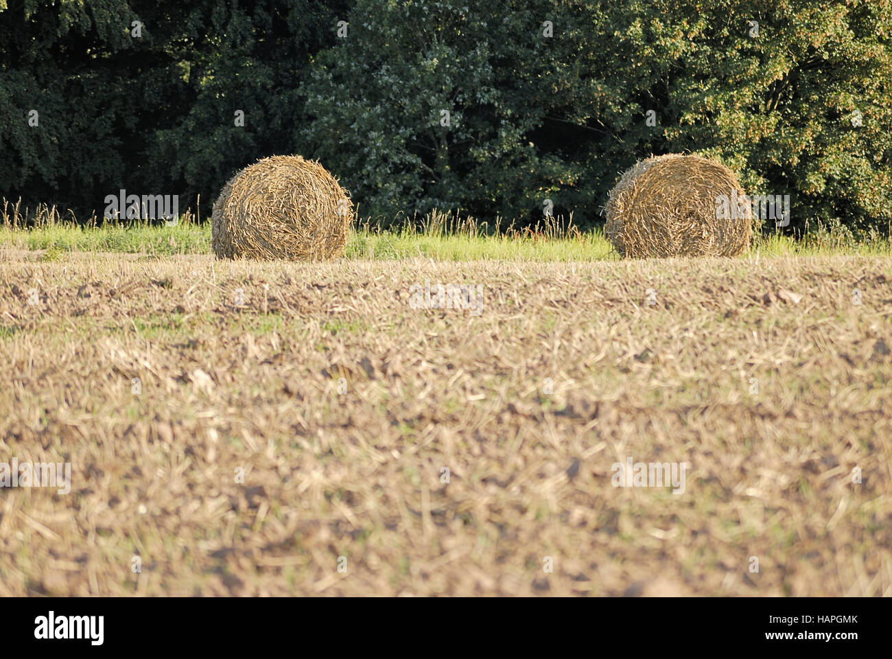 zwei rollen - two balls Stock Photo - Alamy