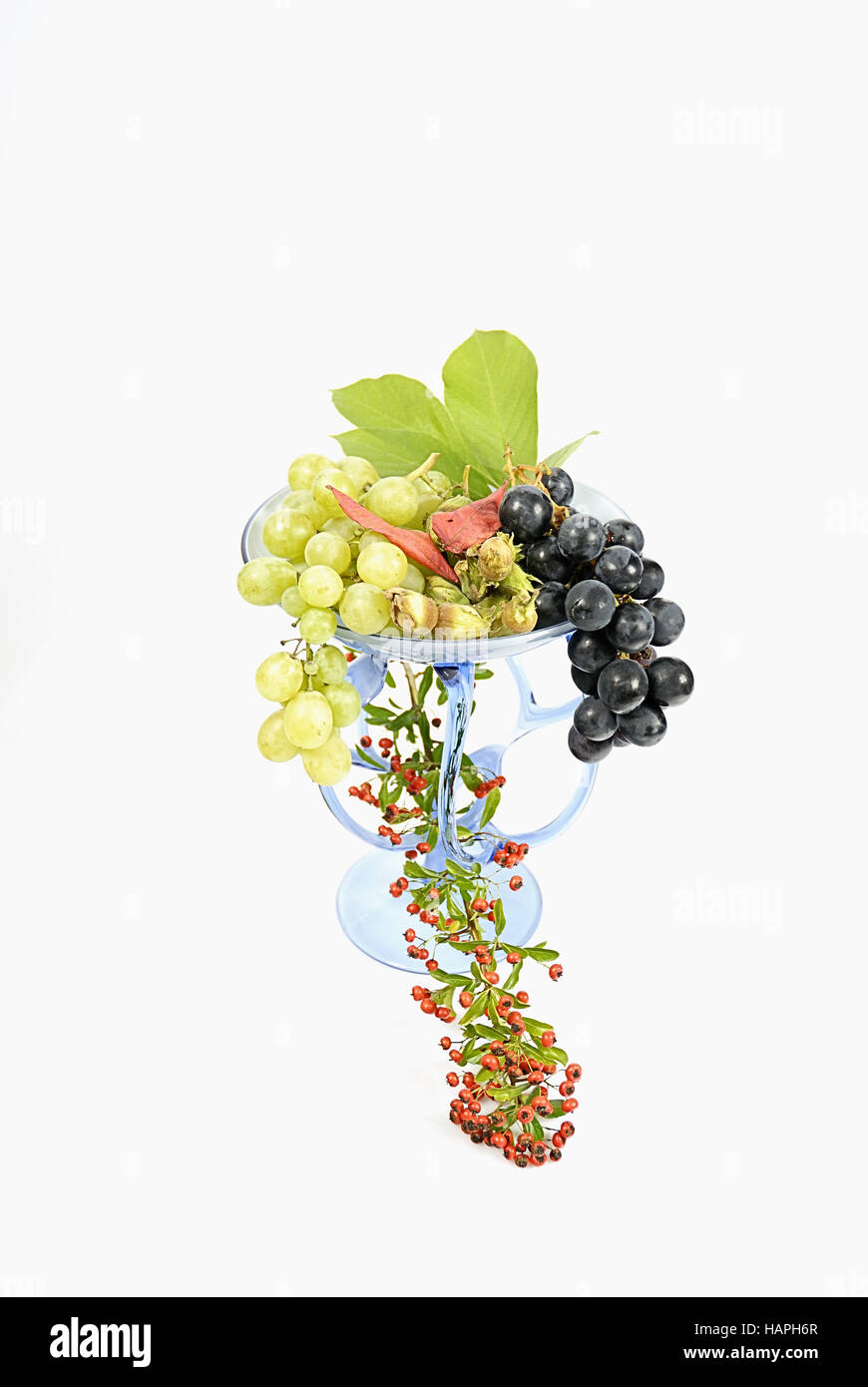 Trauben nuss hi-res stock photography and images - Alamy