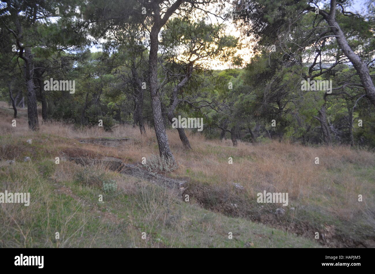 Nature photography out in the open space Stock Photo - Alamy