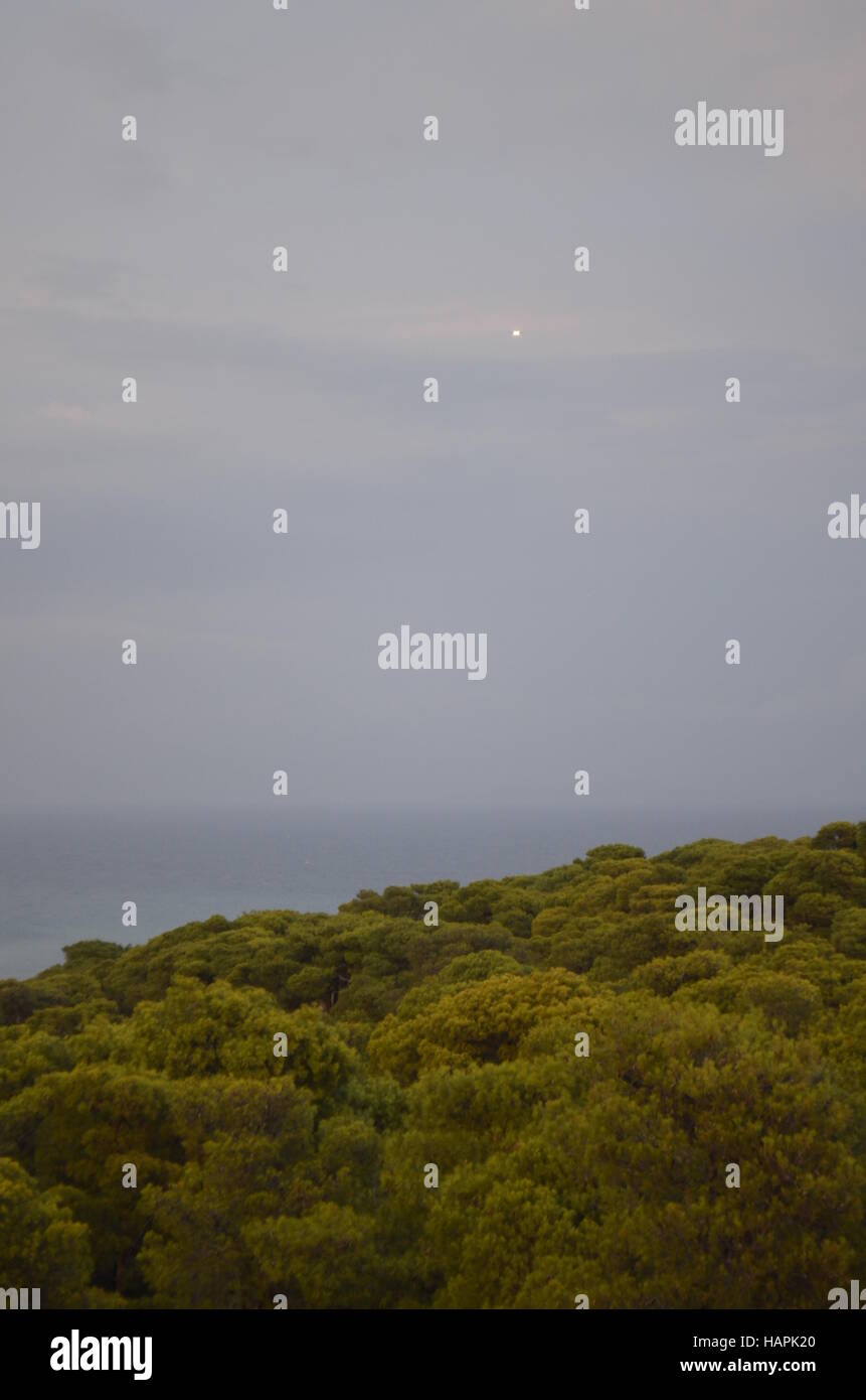 Nature photography out in the open space Stock Photo - Alamy