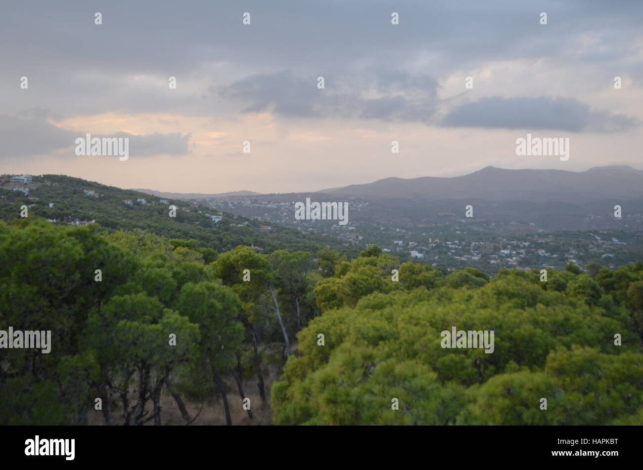 Nature photography out in the open space Stock Photo - Alamy